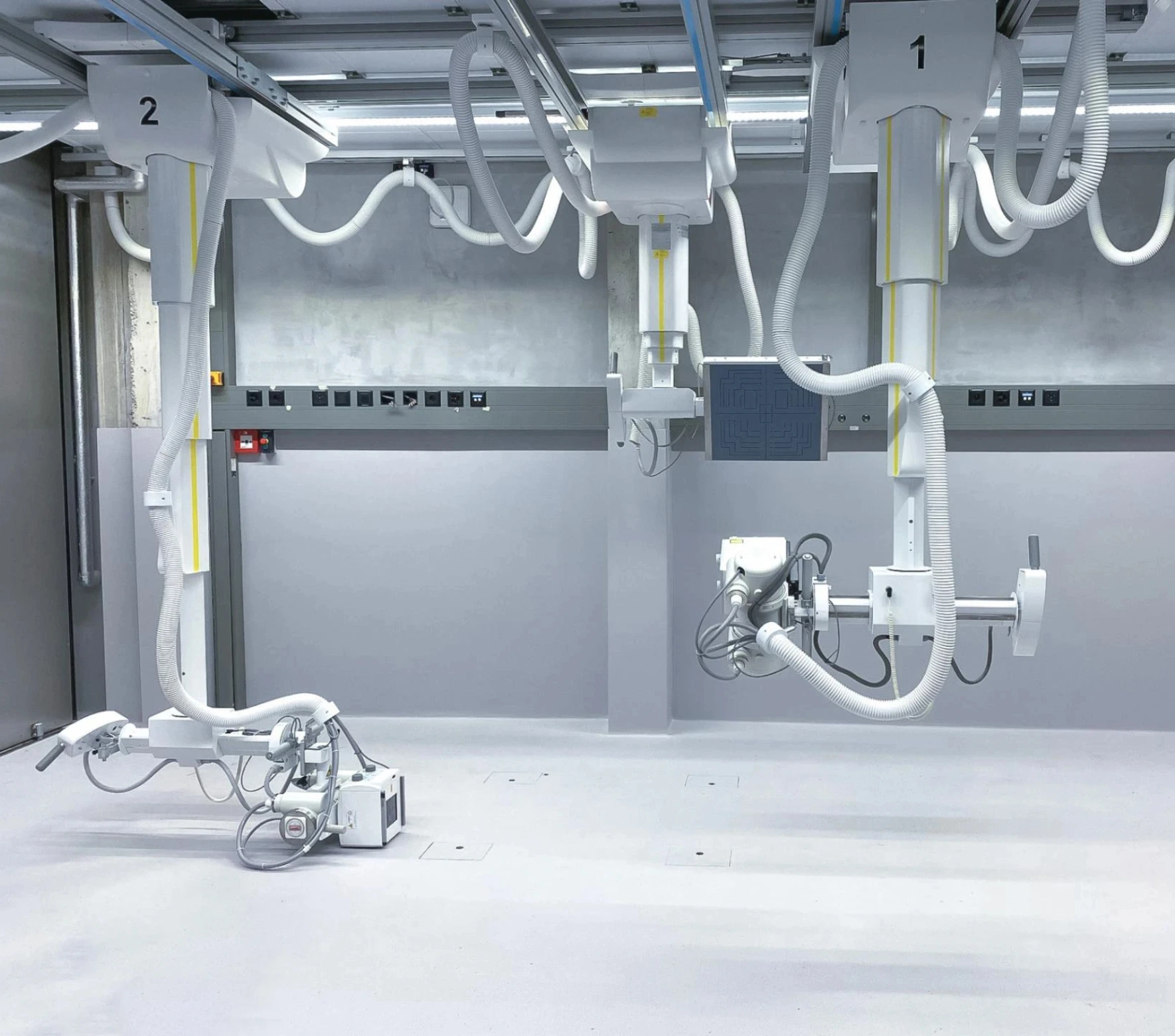 ZOOMAX EQUINE - Paramount